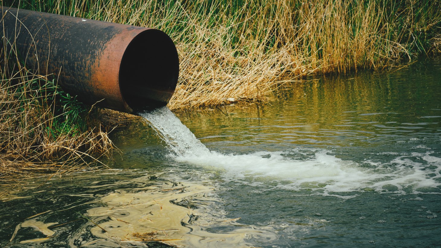 Medicinalproducenter skal snart være med til at betale for at rense spildevand - Dagens Medicin